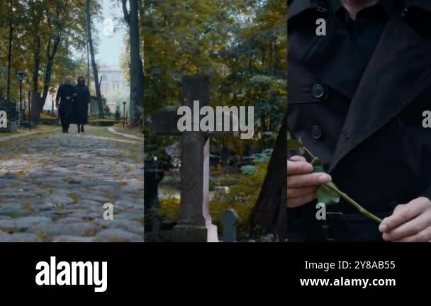 Flowers old gravestone Stock Videos & Footage - HD and 4K Video Clips ...