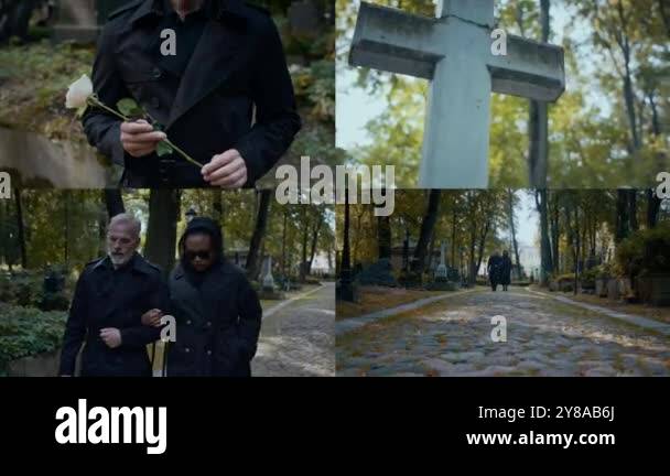 Rose in grave cemetery Stock Videos & Footage - HD and 4K Video Clips ...