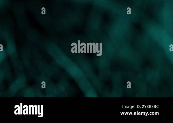 Texture of dried leaves on a black background, creepy transition ...