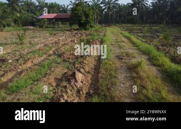 Land plot in aerial Stock Videos & Footage - HD and 4K Video Clips - Alamy