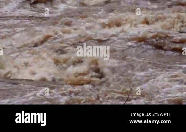 A strong current near a waterfall. Floods flowing in mountain rivers ...