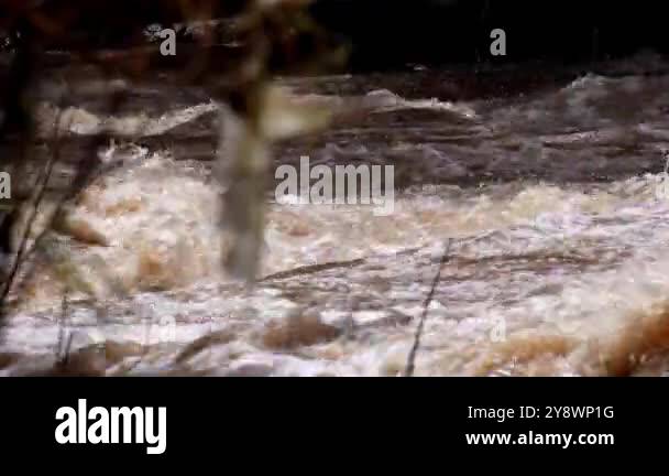 A strong current near a waterfall. Floods flowing in mountain rivers ...