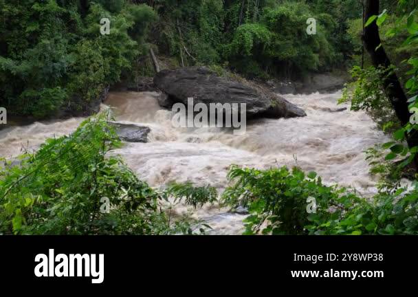 A strong current near a waterfall. Floods flowing in mountain rivers ...
