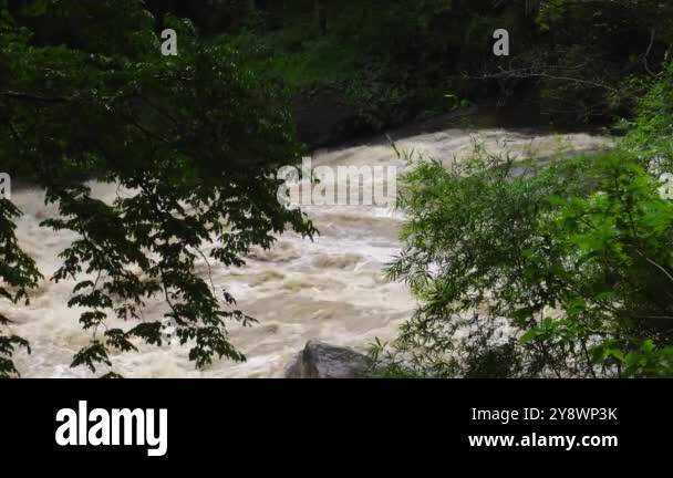 A strong current near a waterfall. Floods flowing in mountain rivers ...