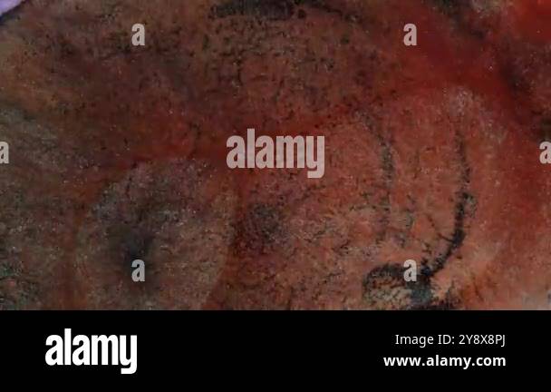 Desert symbols Stock Videos & Footage - HD and 4K Video Clips - Alamy