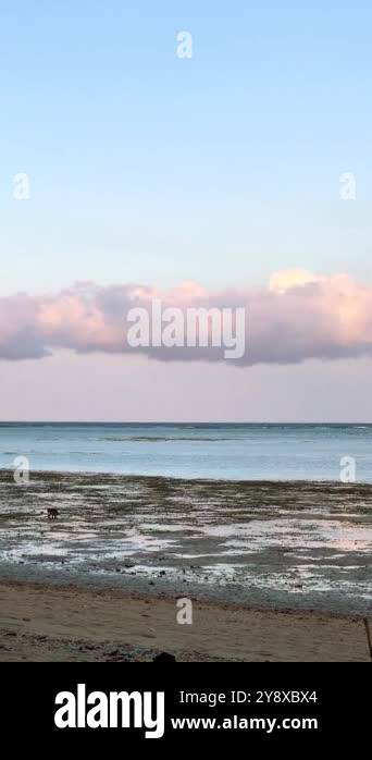 Vertical footage of a swamp and watery sand on a beach, looking at open ...