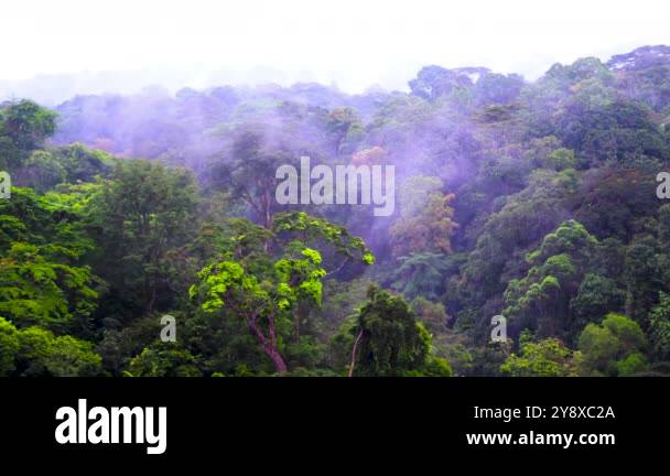 African horizons Stock Videos & Footage - HD and 4K Video Clips - Alamy