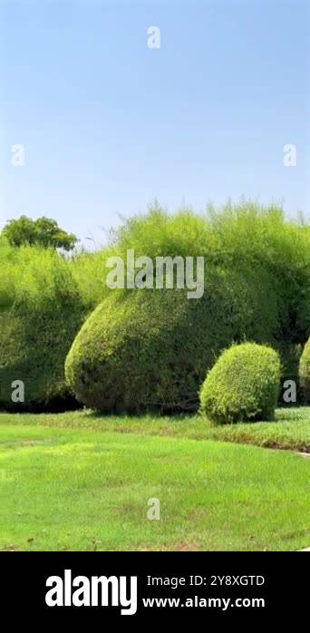 Modern landscape design focuses on blending natural elements with ...