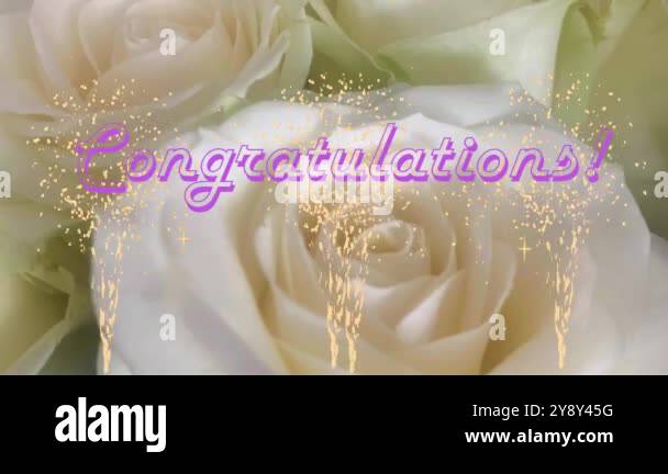 Congratulations card Stock Videos & Footage - HD and 4K Video Clips - Alamy