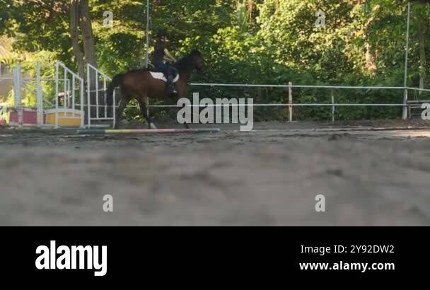 Horse learning arena Stock Videos & Footage - HD and 4K Video Clips - Alamy