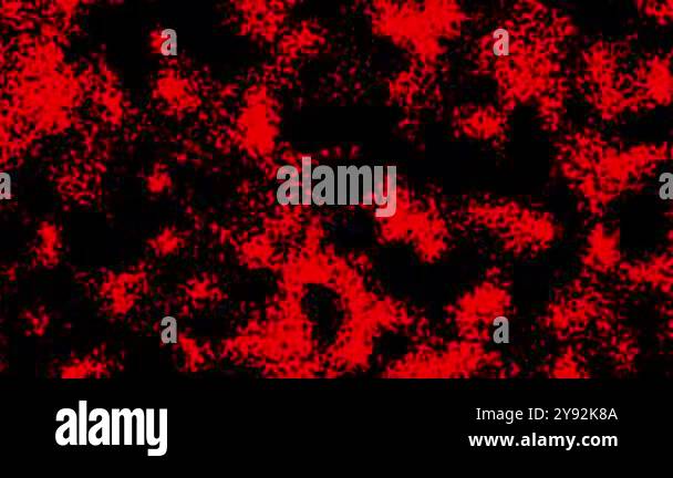 Dynamic red splatter design Stock Videos & Footage - HD and 4K Video ...