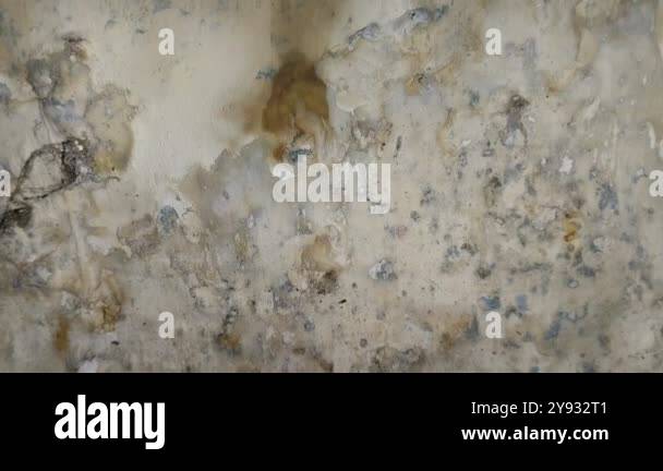 Damp cellar wall Stock Videos & Footage - HD and 4K Video Clips - Alamy