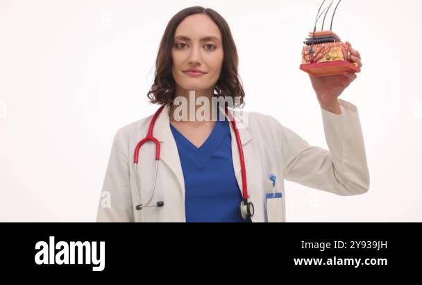 Cortex layers Stock Videos & Footage - HD and 4K Video Clips - Alamy