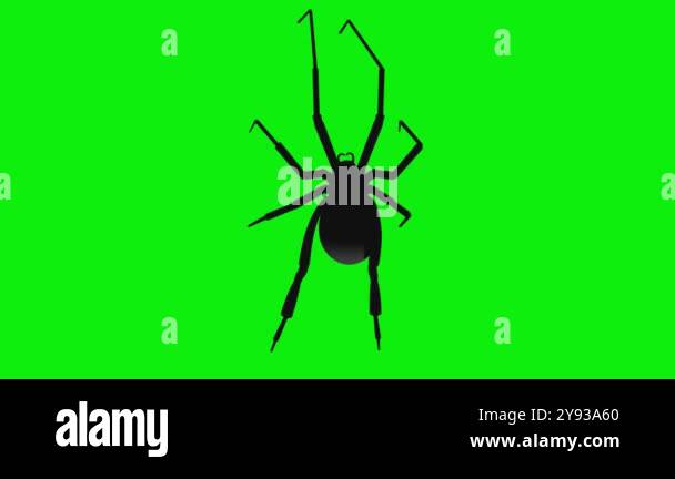 Shaking tree with trunk Stock Videos & Footage - HD and 4K Video Clips ...