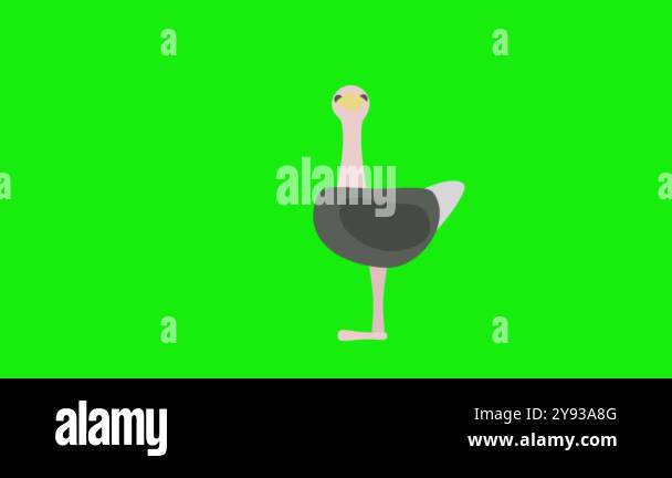 2d animated character of An adult ostrich is standing while blinking ...