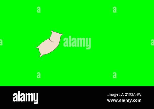2d animated character of Cute shii in the form of a pillow moving and ...