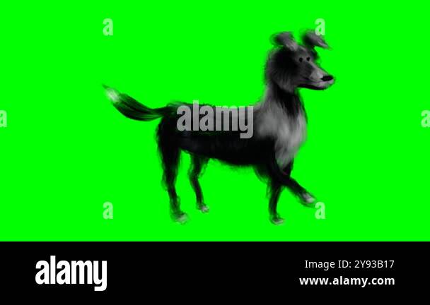 2d animated character of A cute black fur dog whose tail wags and barks ...