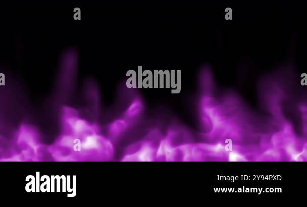 realistic violet pink fire flames burn movement frame on black ...