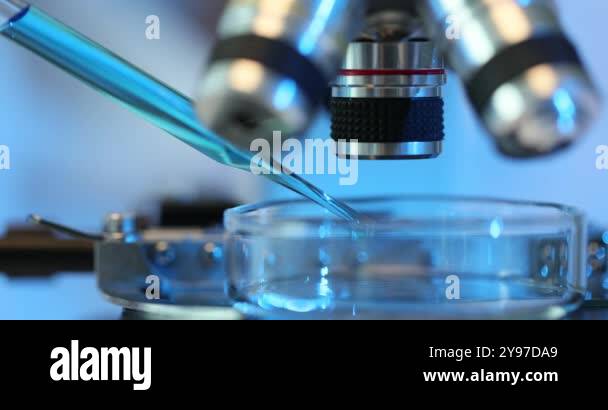 Drop of liquid is added to Petri dish under microscope. Research of ...