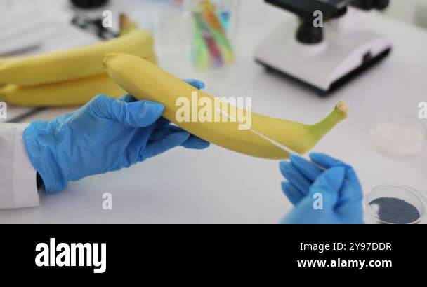 Types of bananas Stock Videos & Footage - HD and 4K Video Clips - Alamy