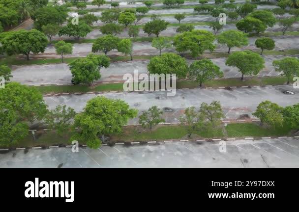 Areal view of parking lot design features white markings on asphalt ...