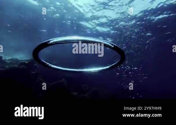 Deep sea fauna Stock Videos & Footage - HD and 4K Video Clips - Alamy