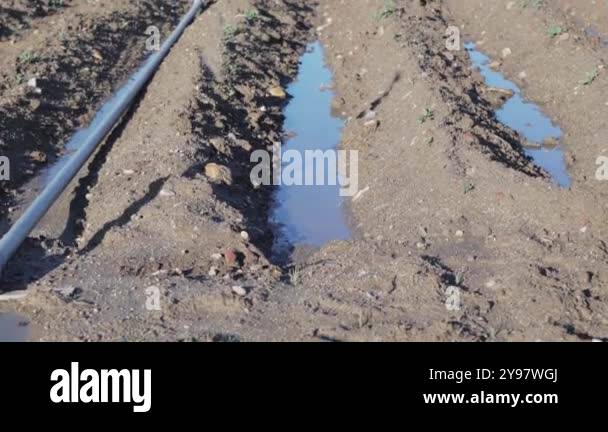 Cropping system Stock Videos & Footage - HD and 4K Video Clips - Alamy
