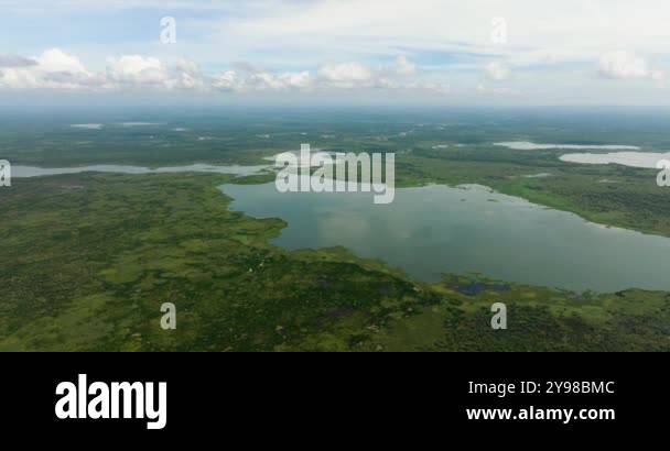 Agusan Marsh Wildlife Sanctuary: A vast wetland of swamp forests ...