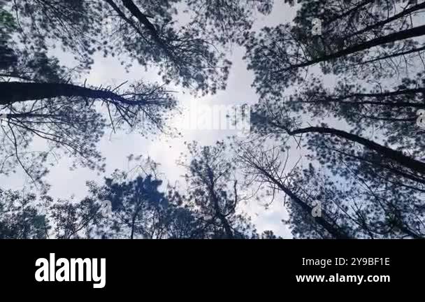 Bottom angle view Stock Videos & Footage - HD and 4K Video Clips - Alamy