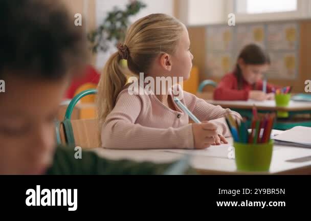 Elementary primary education studying in school multiracial pupils ...