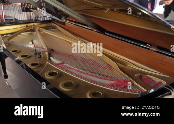 Grand pianos Stock Videos & Footage - HD and 4K Video Clips - Alamy