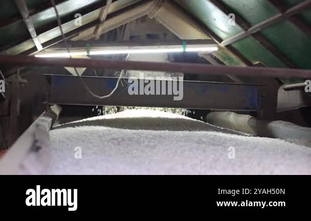 Grain mill in farm Stock Videos & Footage - HD and 4K Video Clips - Alamy
