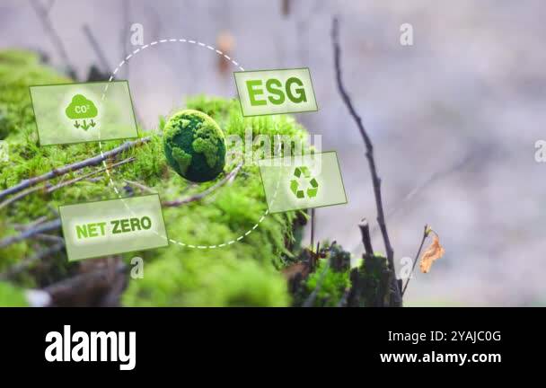 Esg infographic Stock Videos & Footage - HD and 4K Video Clips - Alamy