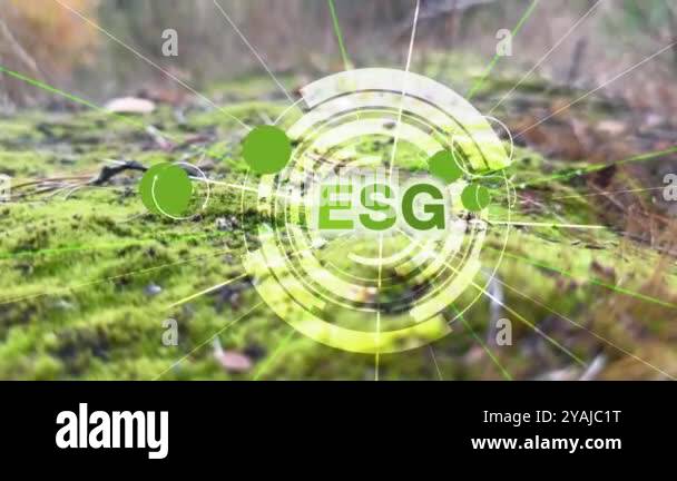 ESG environmental social governance investment business concept. ESG ...