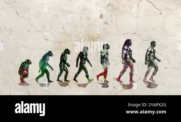 Evolution stages Stock Videos & Footage - HD and 4K Video Clips - Alamy