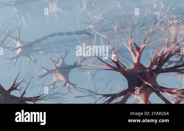 Neuron cells with synapses in human brain firing signals. Looping ...