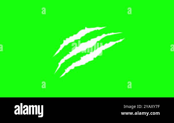 Cat paw shape Stock Videos & Footage - HD and 4K Video Clips - Alamy