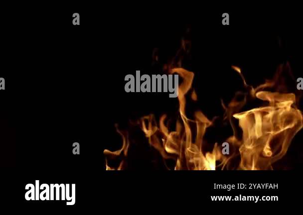 Fire flame texture. The fire, burning flame. Large burning flaming fire ...