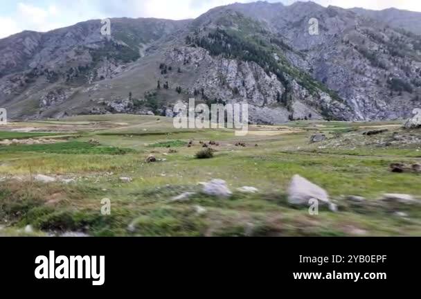 Valley of Tranquility Roadside View of Green Meadows, Mountain ...