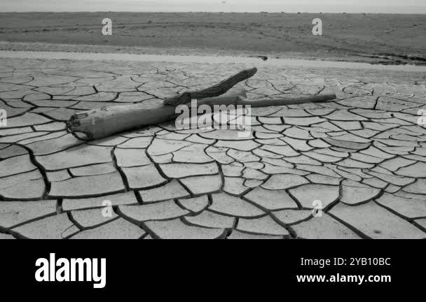 Climate change, deforestation, the earth turns into a desert. A dried ...