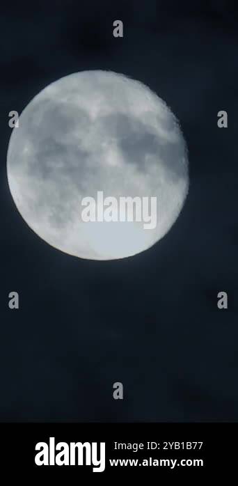 An incredibly captivating and beautiful image showcases a vibrant full ...