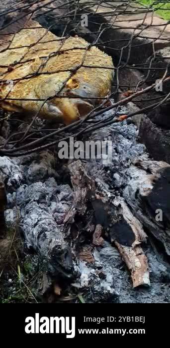 Grill the gourami fish in a traditional way to create an attractive ...