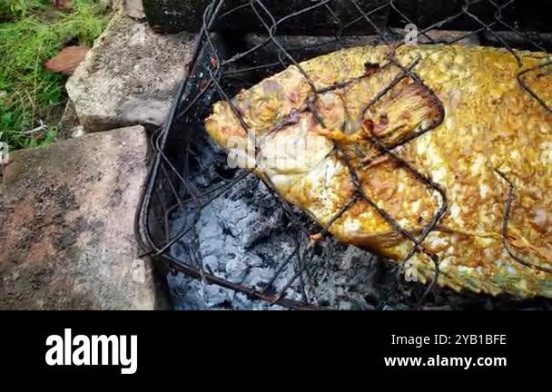 Grill the gourami fish in a traditional way to create an attractive ...