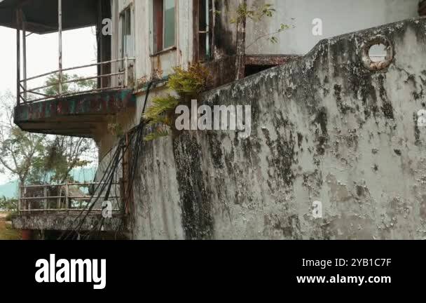 Vegetation decay decay Stock Videos & Footage - HD and 4K Video Clips ...