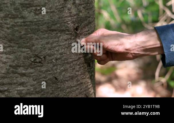 Method of tapping Stock Videos & Footage - HD and 4K Video Clips - Alamy