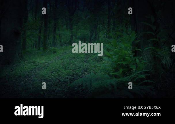 Park ent Stock Videos & Footage - HD and 4K Video Clips - Alamy