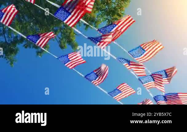 Founders tree Stock Videos & Footage - HD and 4K Video Clips - Alamy