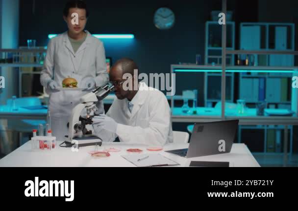Black food scientist using microscope, then examining lab-grown meat burger on plate while ...