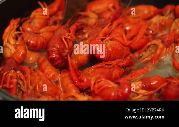 Crawfish boil recipe Stock Videos & Footage - HD and 4K Video Clips - Alamy