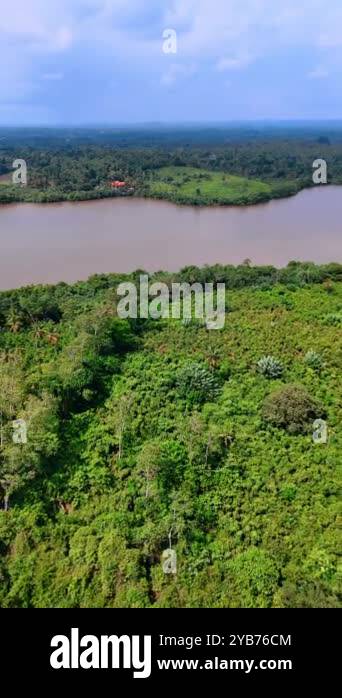 Lush greenery surrounding the wavy river with brown water. Some rare ...